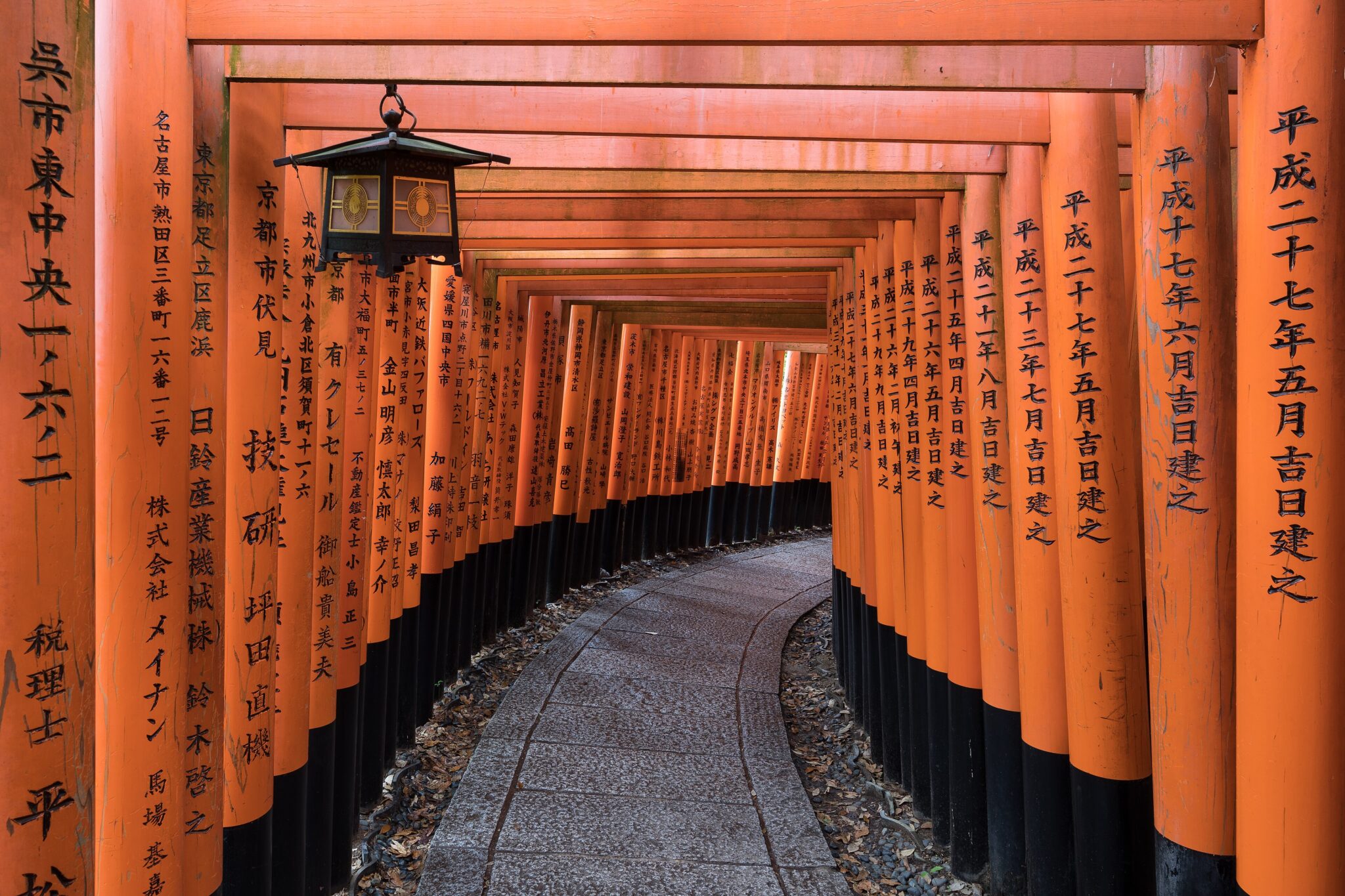 Things to do in Kyoto: temples, gardens, and the timing that makes the ...